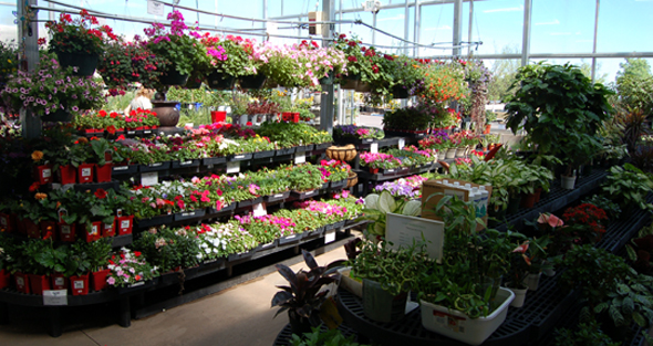 Spruce Up Spring Project Sales | Hardware Retailing