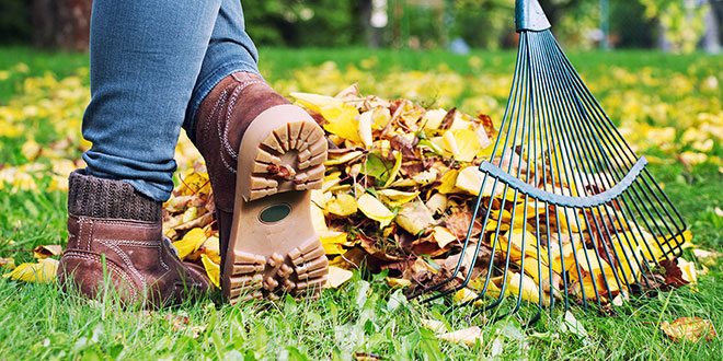 Top Tips for Customers Raking Leaves | Hardware Retailing