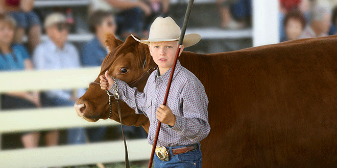 3 Ways Your Business Can Support Youth Farming Clubs | Hardware Retailing