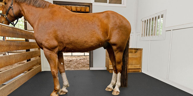 Barn Mat | Hardware Retailing